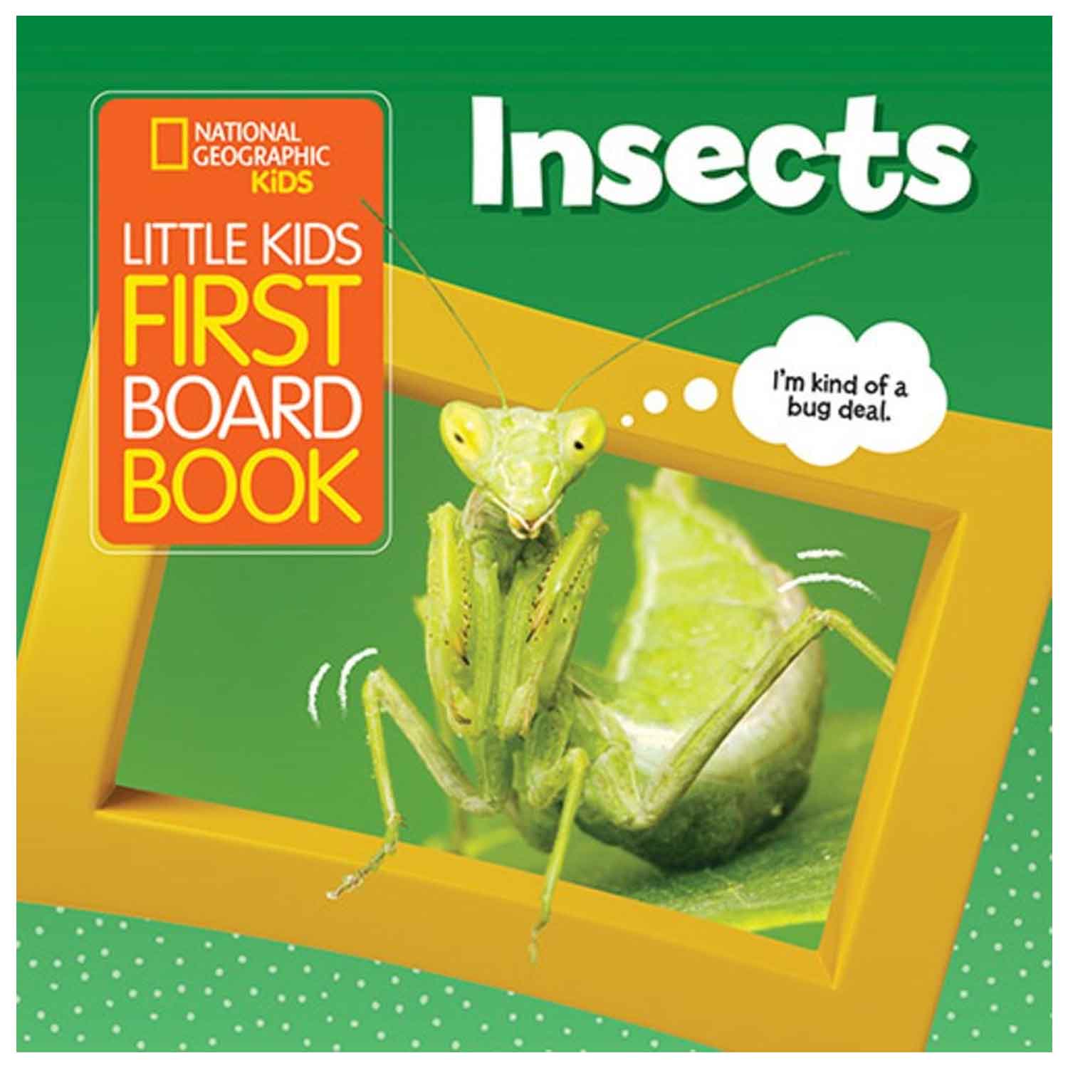 Little Kids First Board Book: Insects | Becker's