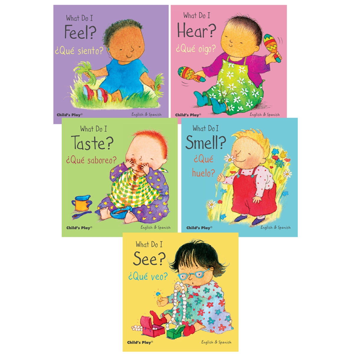 Small Senses Board Book Set | Five Senses Books for Kids | Becker's ...