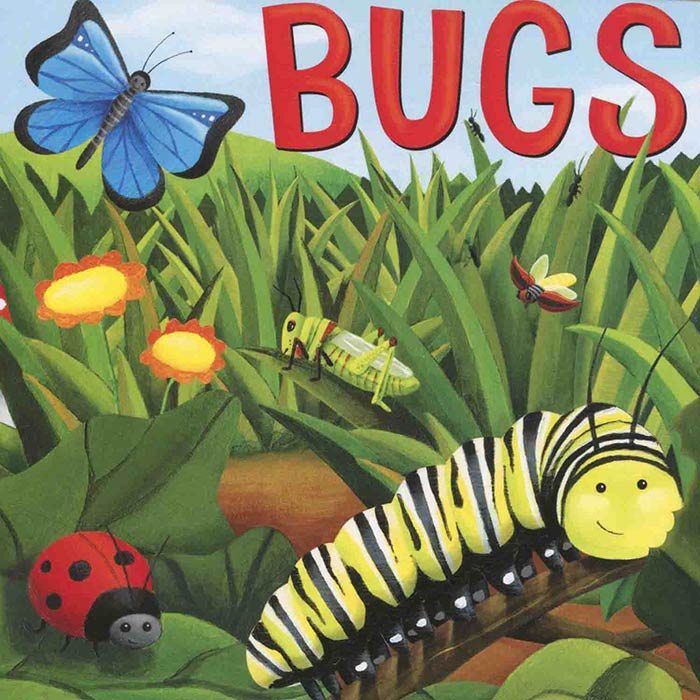 Bugs Board Book | Preschool Bug Book | Becker's