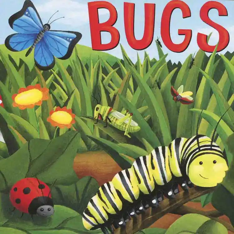 Bugs Board Book | Preschool Bug Book | Becker's