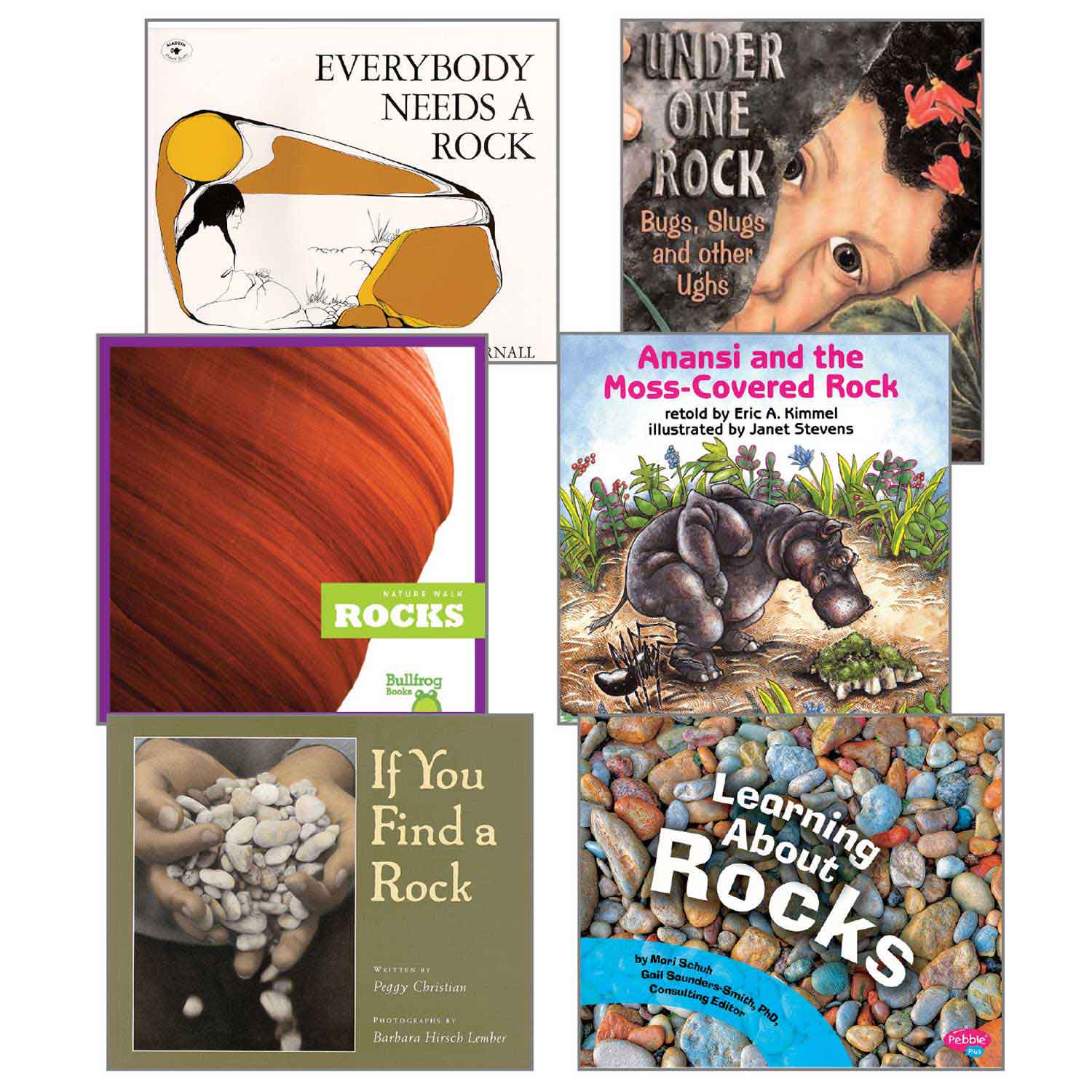 Theme Book Set: Rocks | 6 Books | Becker's School Supplies
