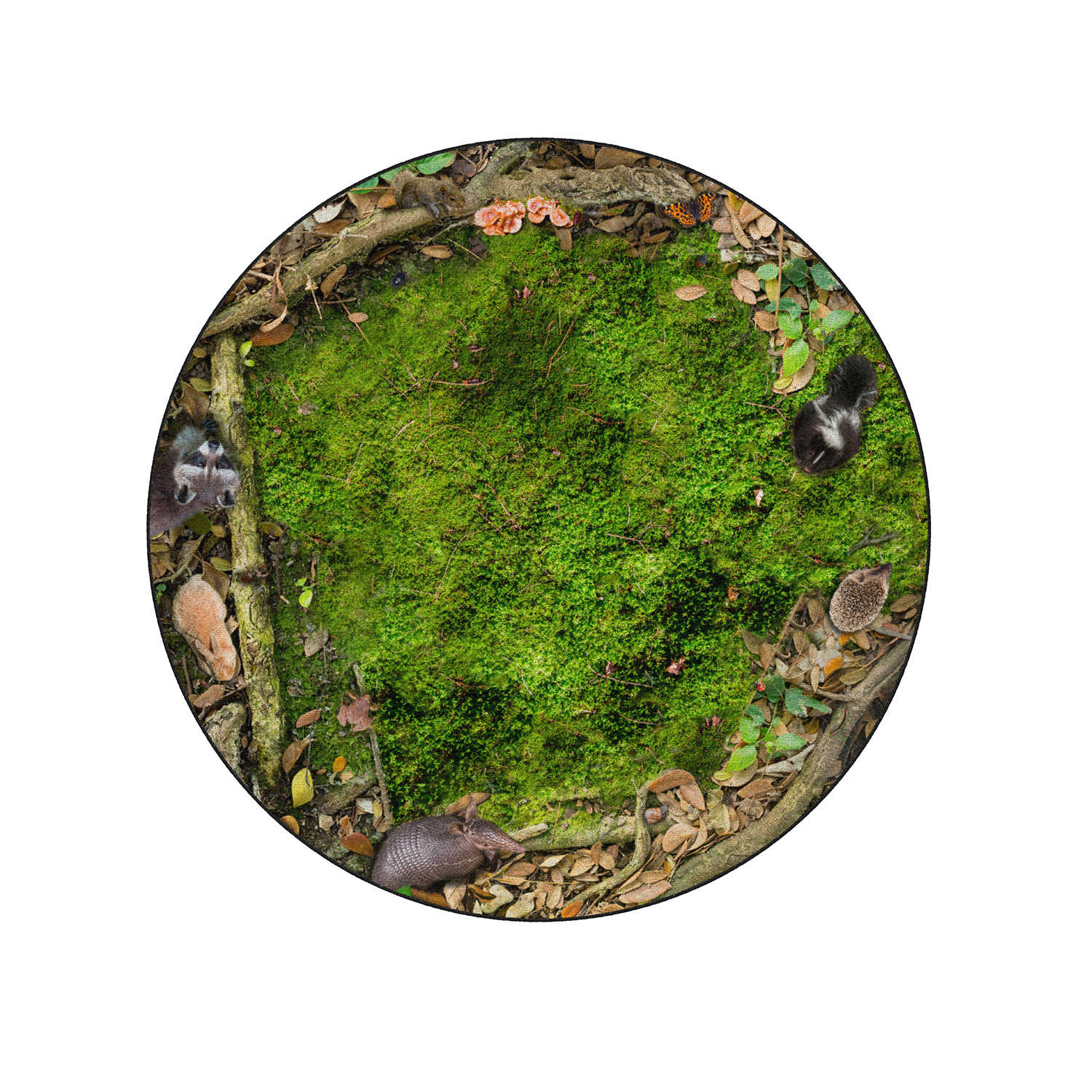 Forest Floor Rug | Becker's School Supplies