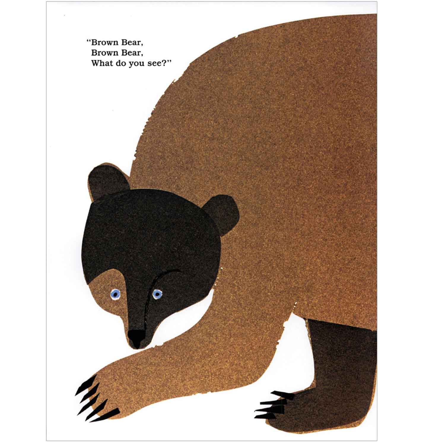 brown bear brown bear display