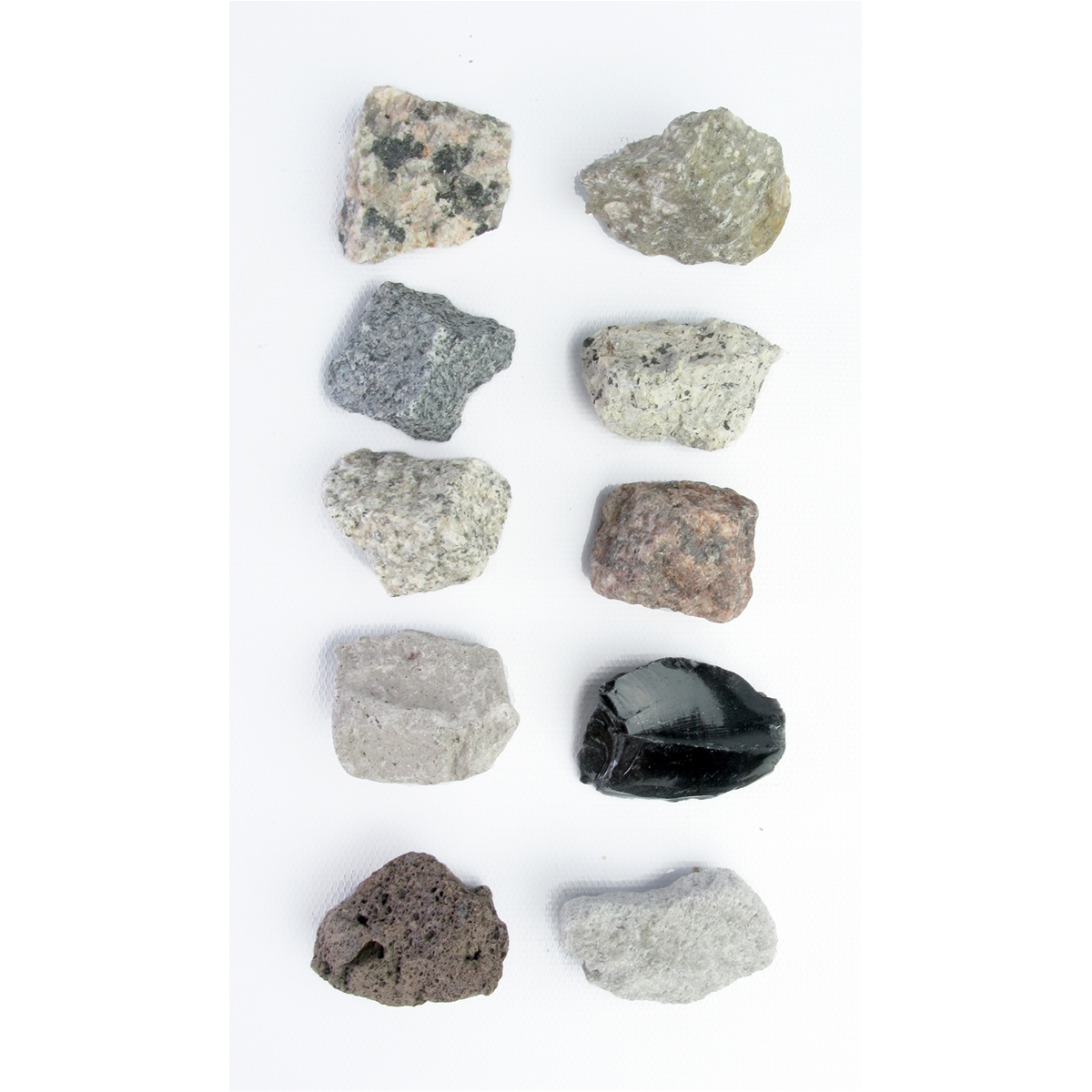 Discovery Science Center | Becker's Exclusive