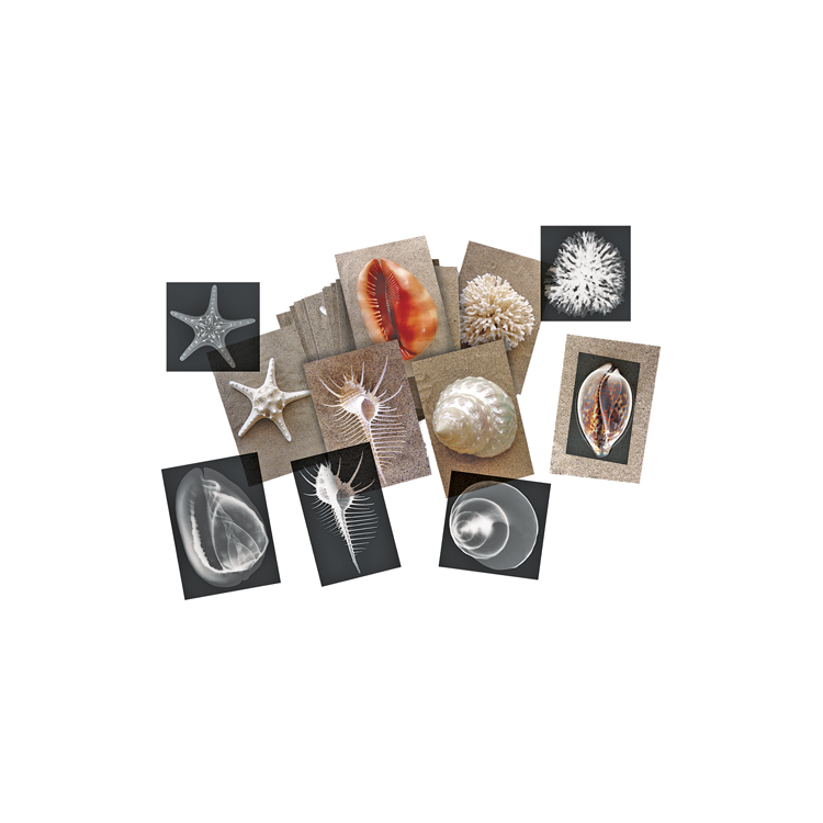 Discovery Science Center | Becker's Exclusive