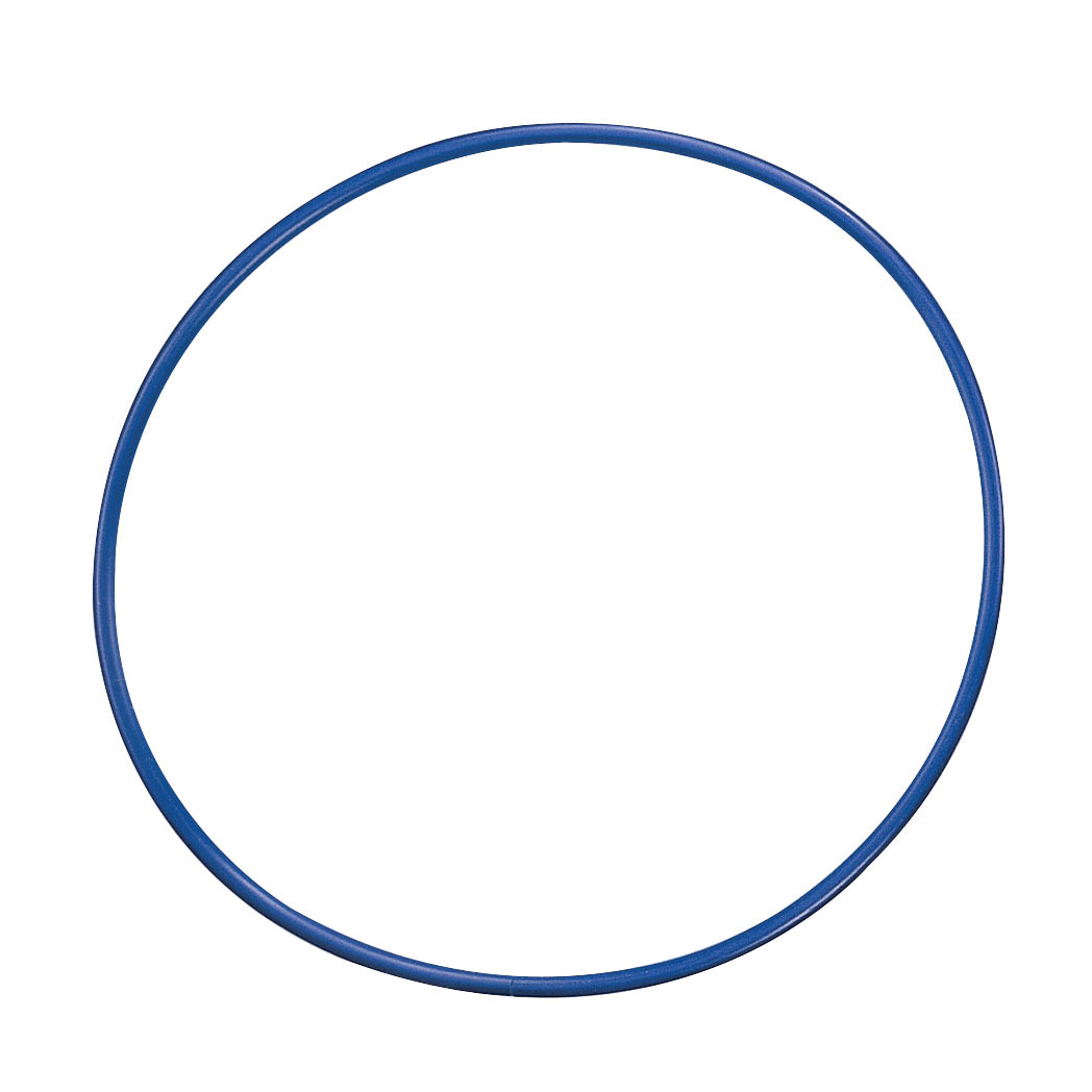 Plastic Hoops | Becker's School Supplies