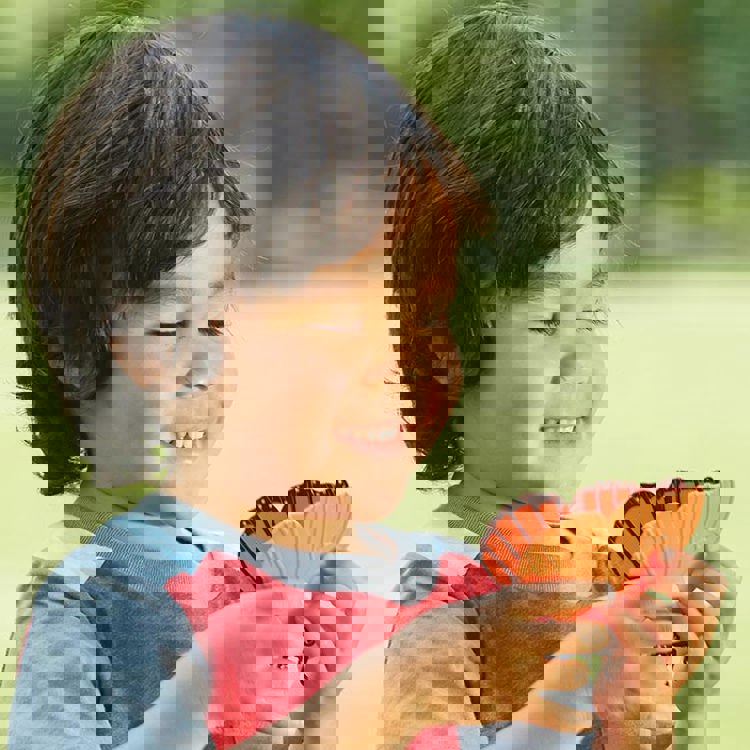 Jumbo Insects | Becker's School Supplies