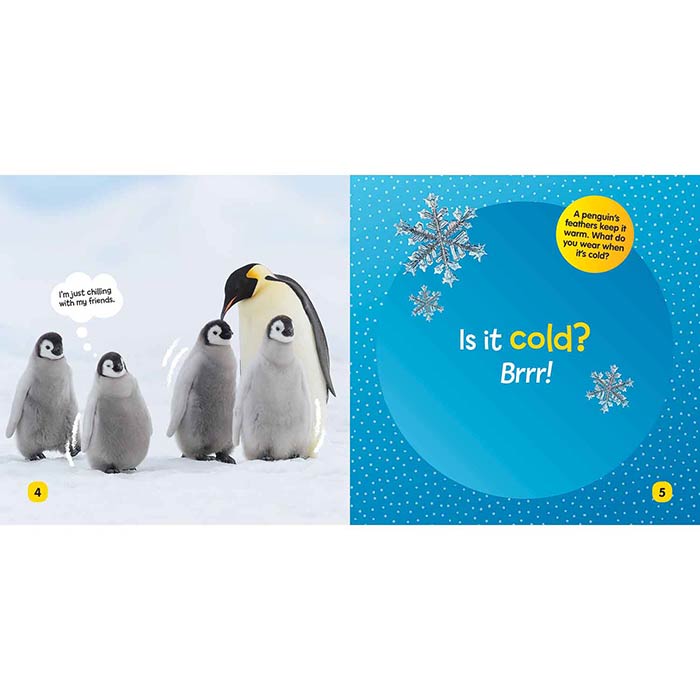 My First Science Book Set | Becker's School Supplies